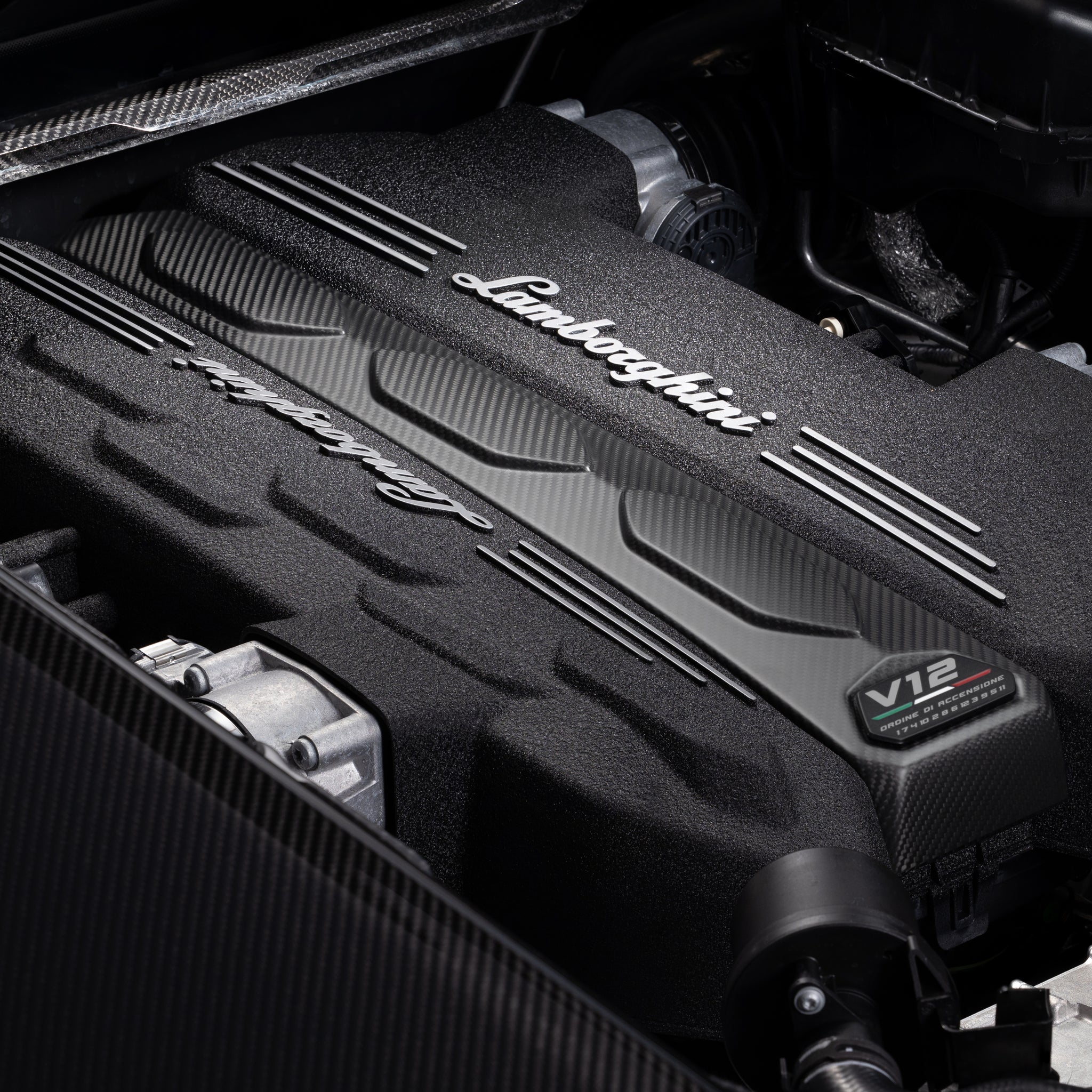 Lamborghini Revuelto Carbon Fiber Engine Cover – O'GARA Boutique